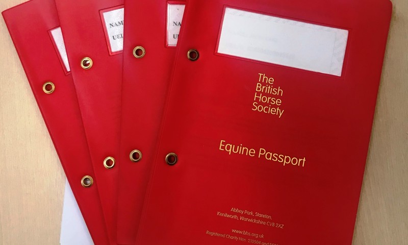 Horse Passport FAQs | The British Horse Society