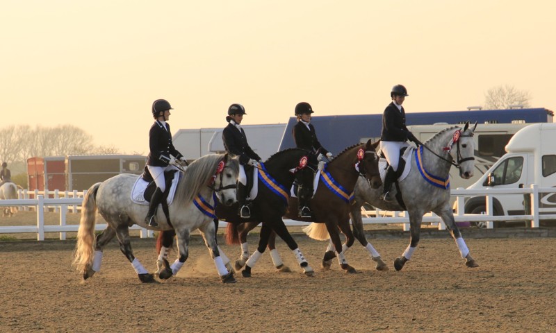 British Riding Clubs: For Riders Of All Levels | The British Horse Society