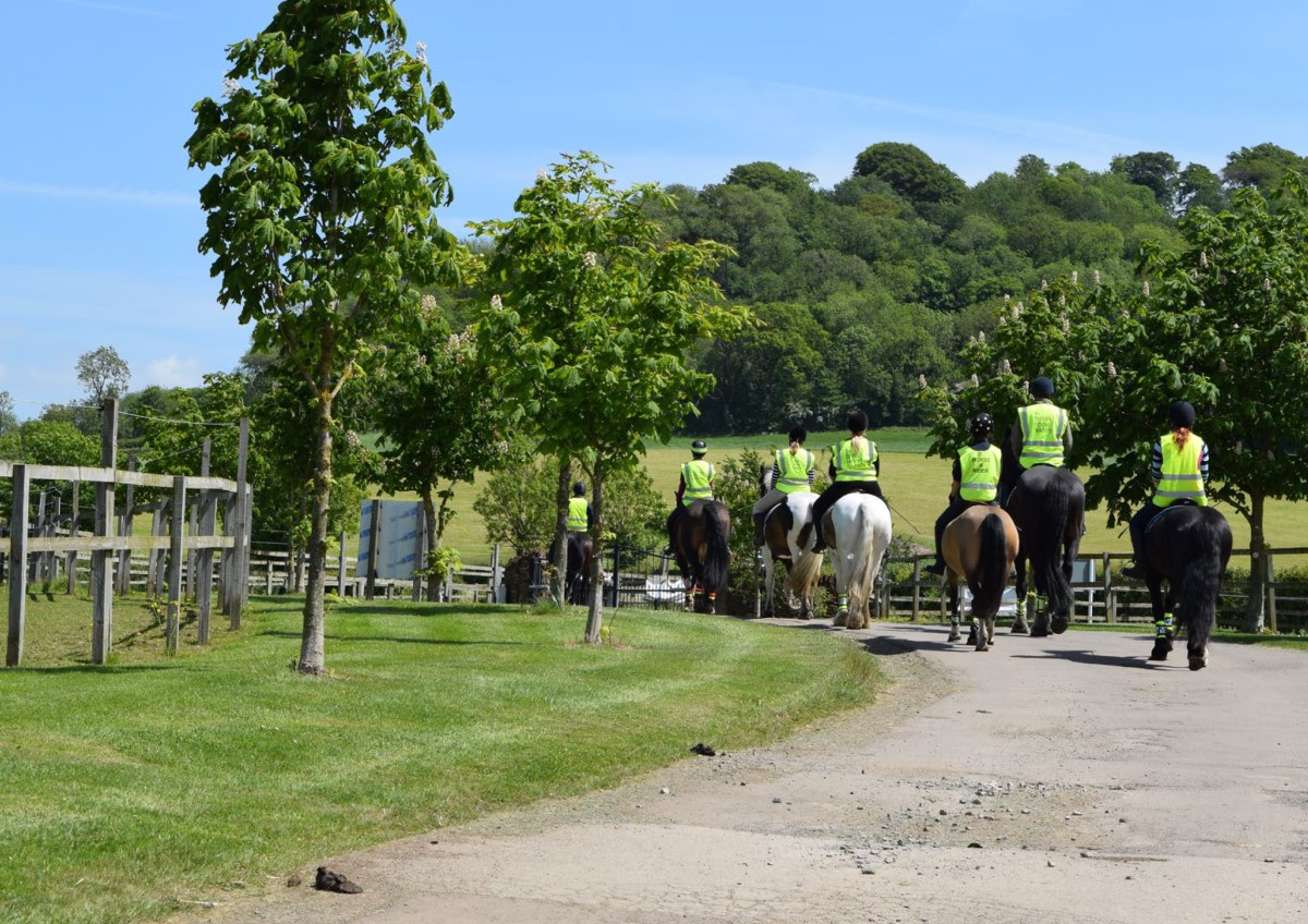 BHS in your area | The British Horse Society