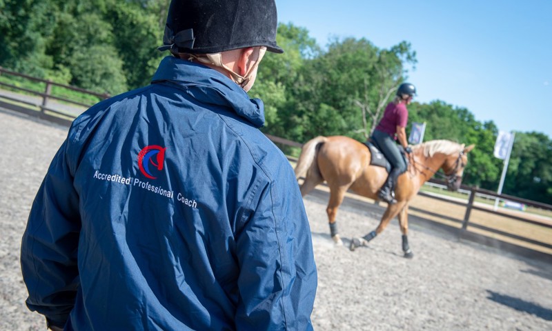 Helping with BHS Training | The British Horse Society