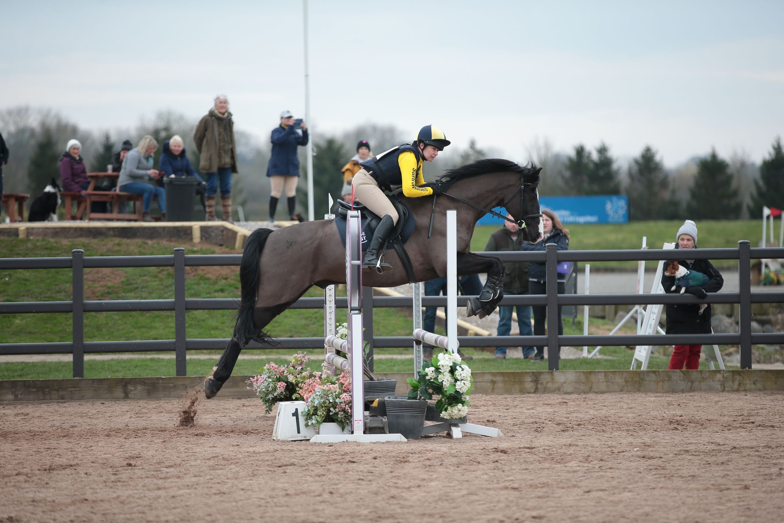 BRC Downloads | The British Horse Society