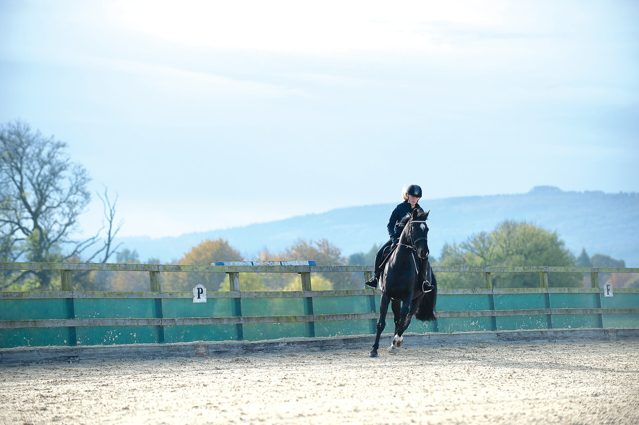 Riding flat | The British Horse Society