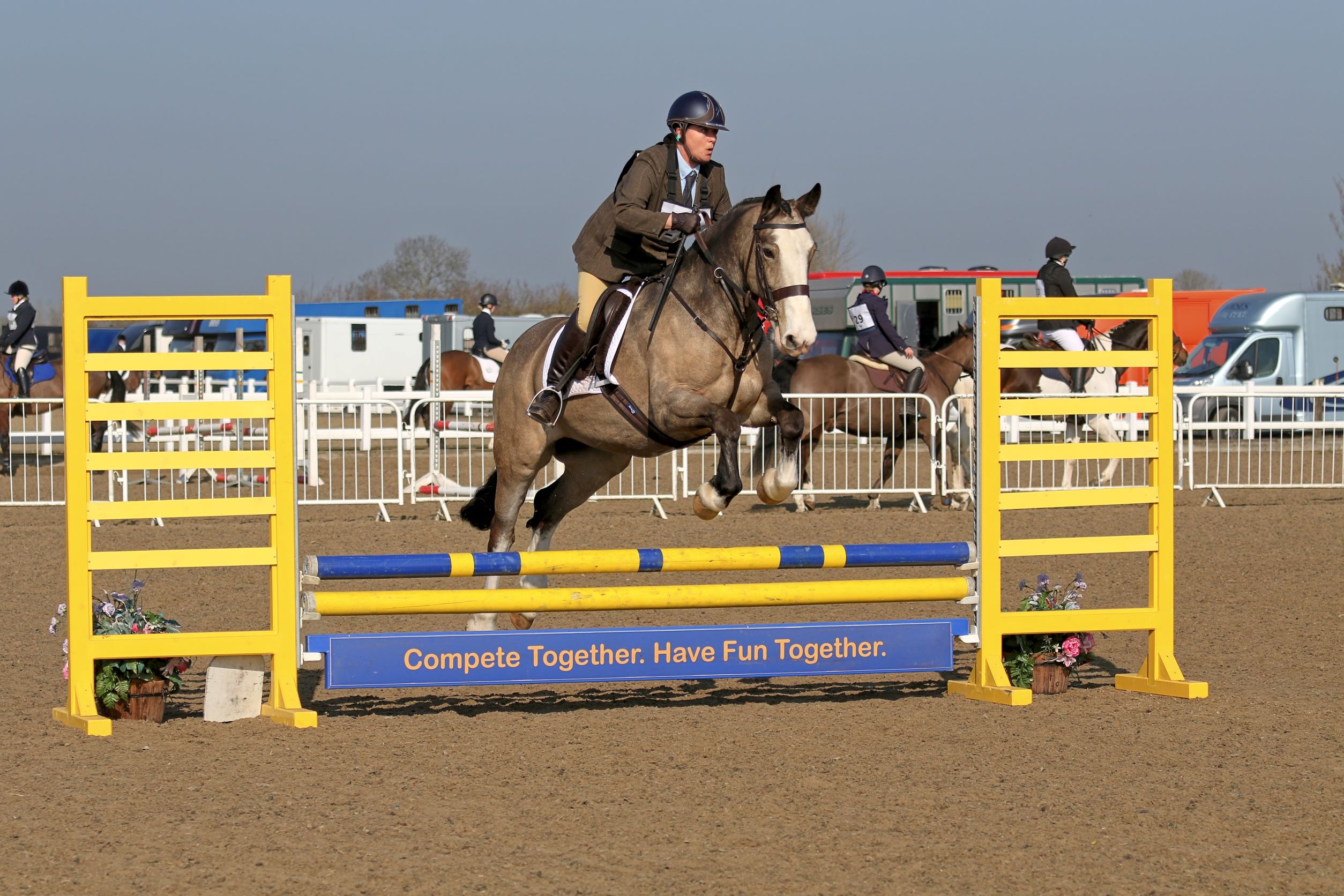 Dun Horse Jumping