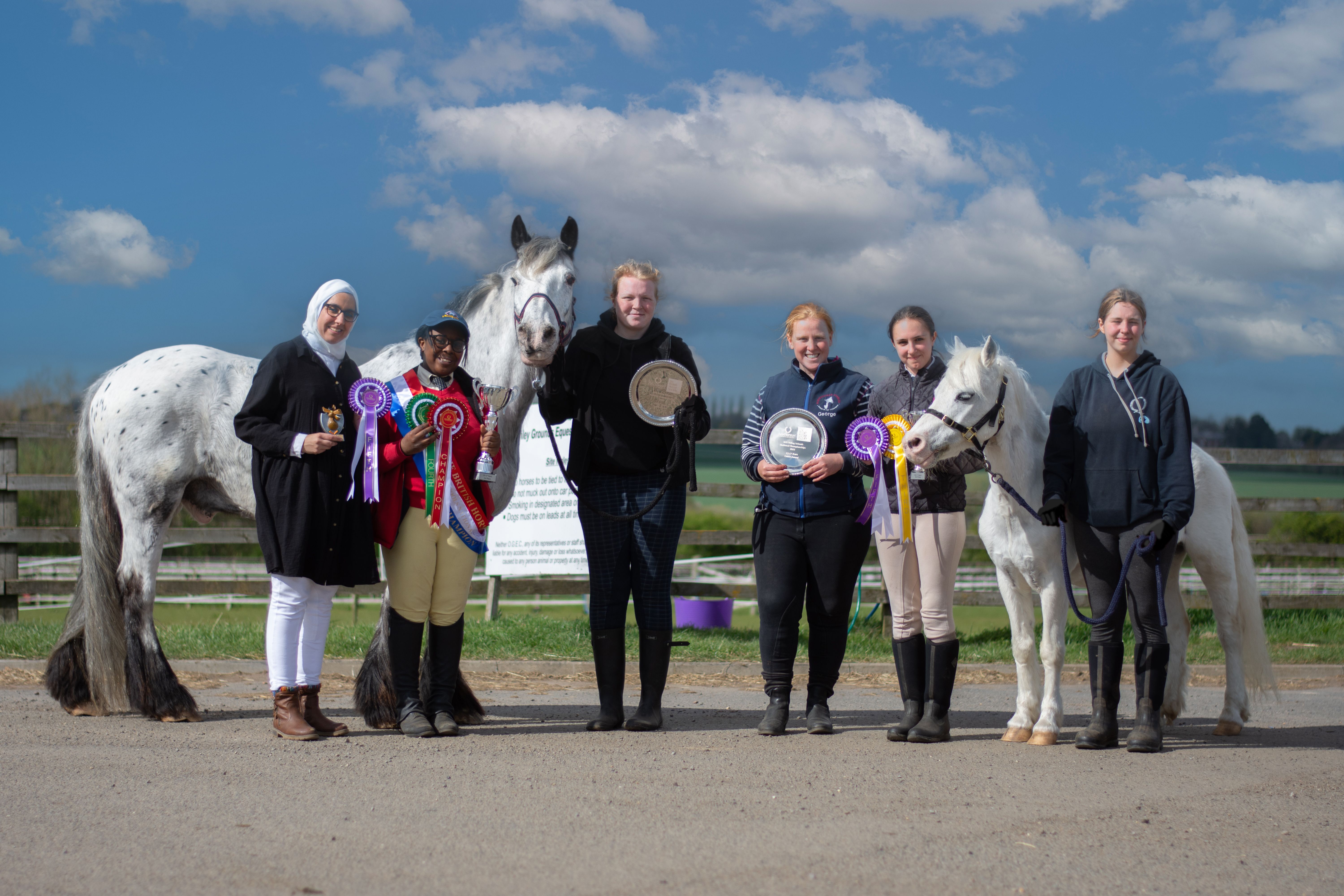BHS Membership: Become A Member Today | The British Horse Society