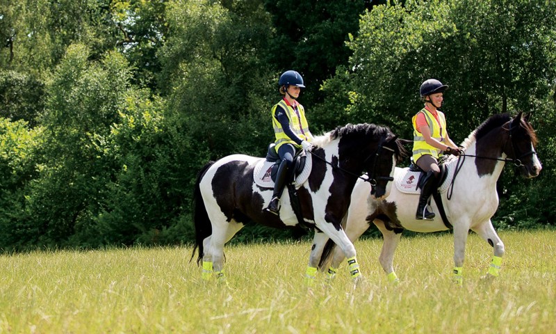 BHS Membership: Become A Member Today | The British Horse Society