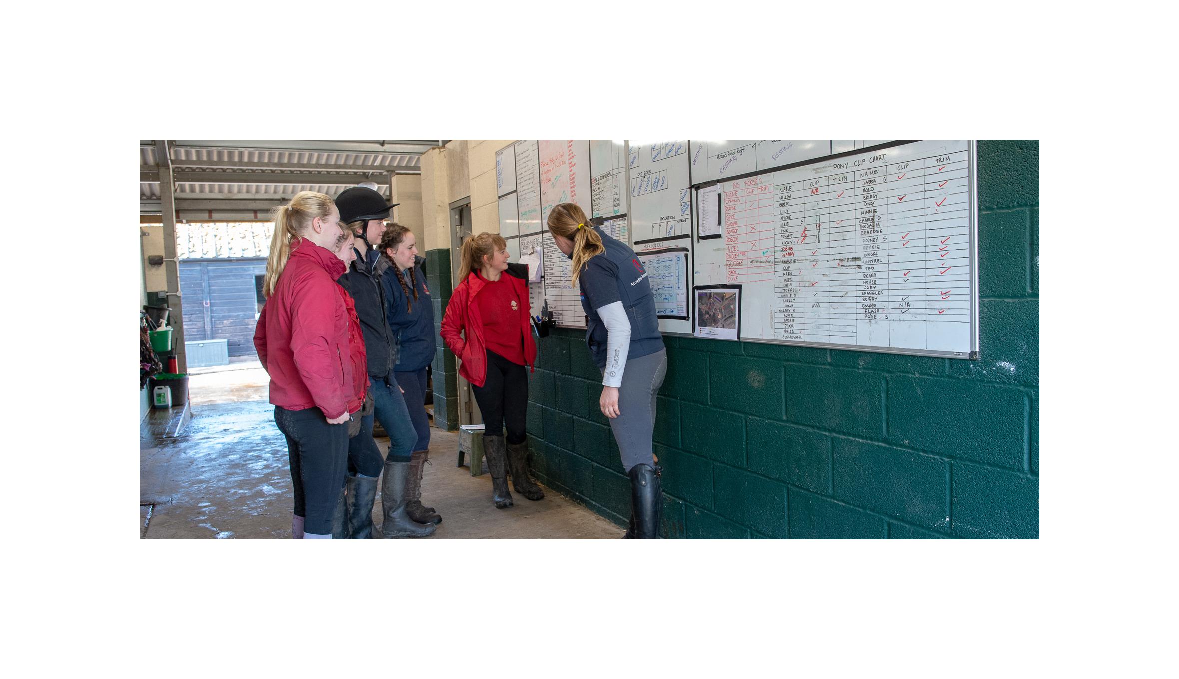 Yard Manager | The British Horse Society