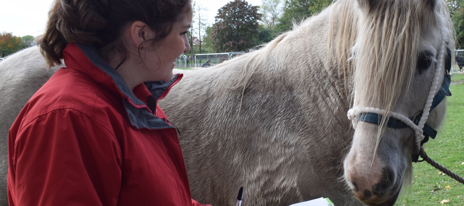Horse Passports The British Horse Society horse-passports-the-british-horse-society