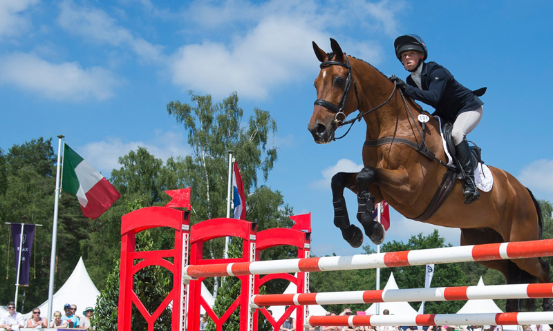 Jumping Horse Without Rider