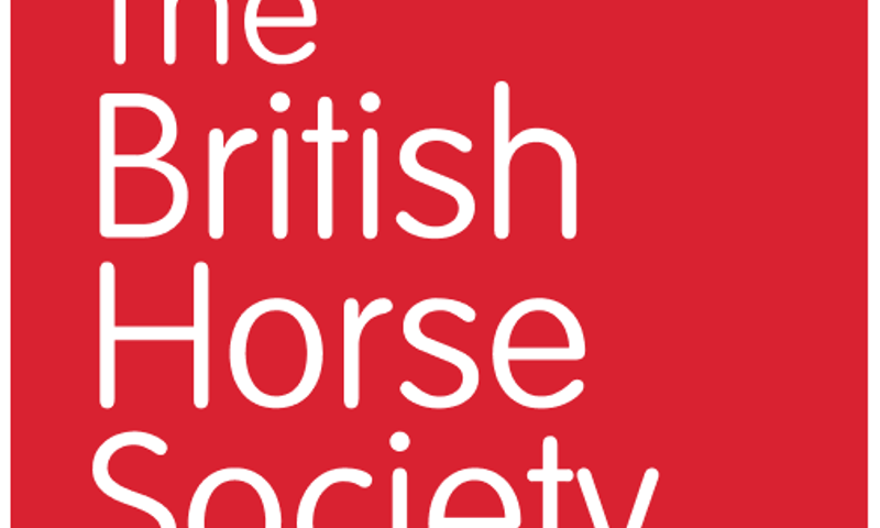 Holmside Hall Equestrian Riding Club | British Riding Club | The ...
