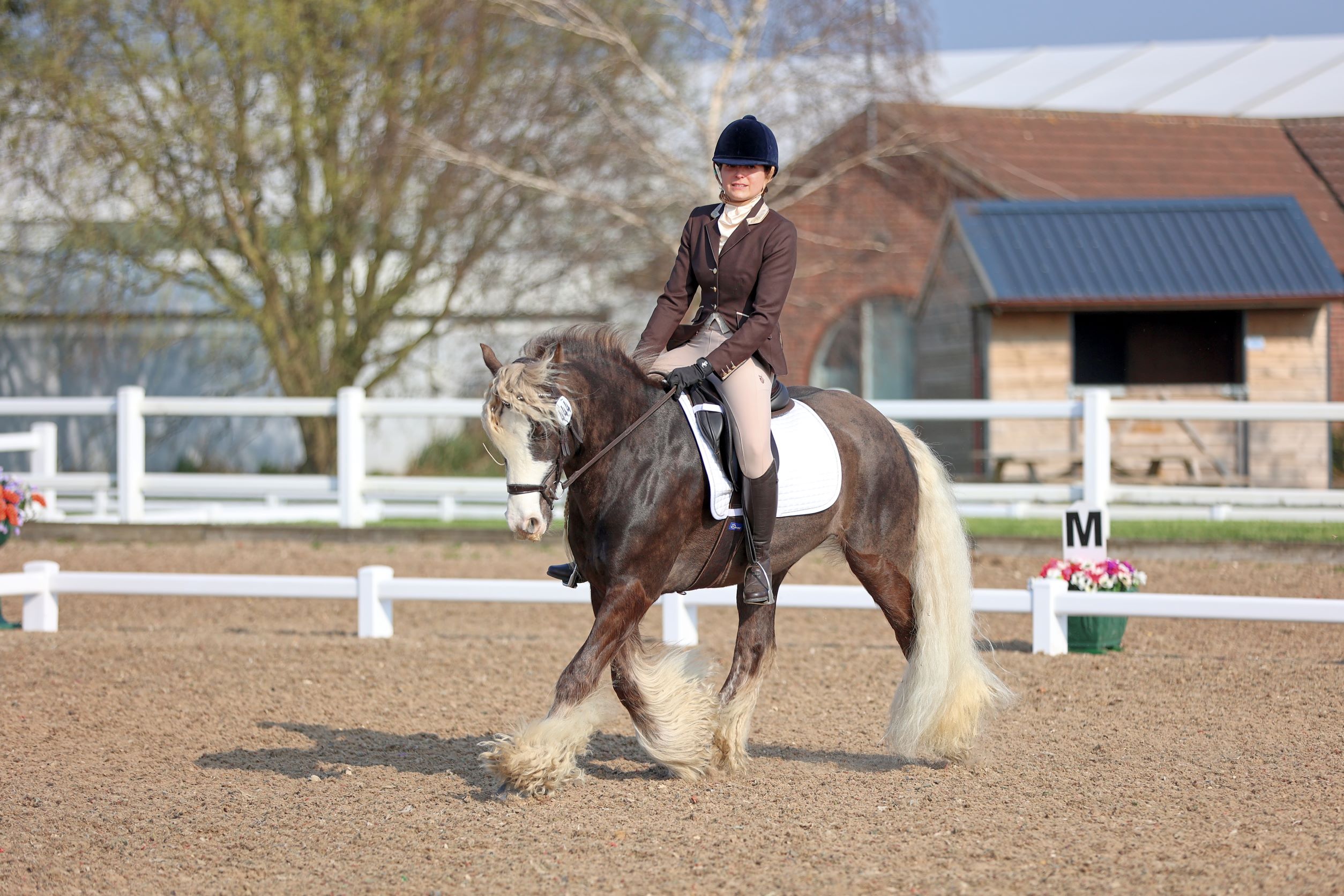 BRC Handbook | The British Horse Society