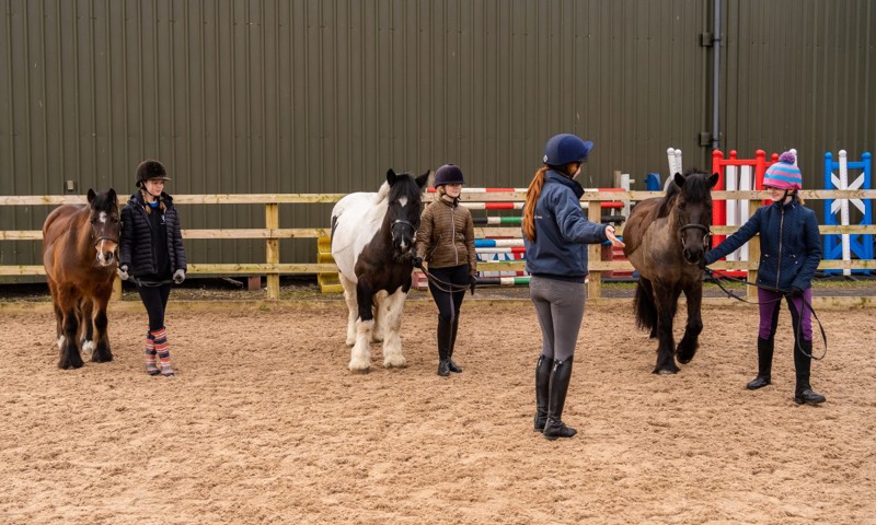 Become BHS approved | The British Horse Society