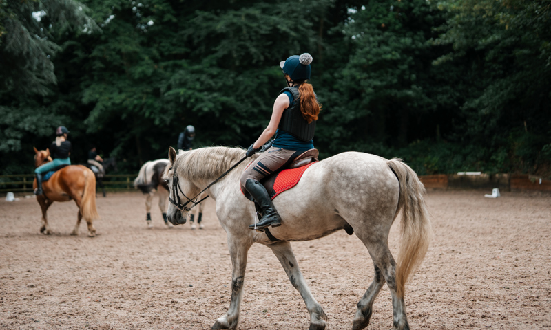 Cottage Farm Stables | BHS Approved Centre | The British Horse Society