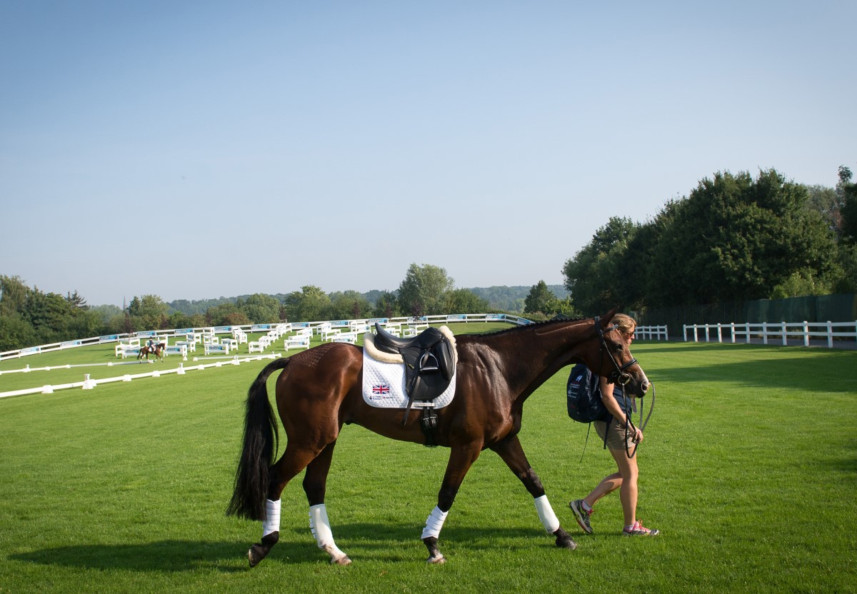 Groom | The British Horse Society