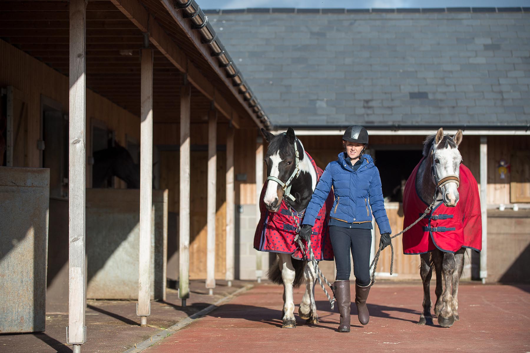 Changing Routine and Diet | The British Horse Society