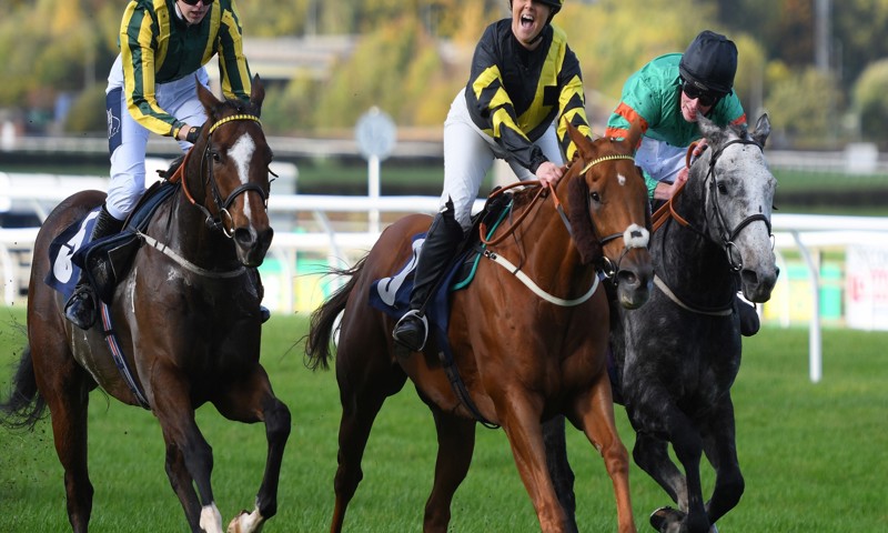 The 5 essential requirements to become a jockey | The British Horse Society