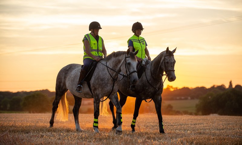 British Horse Society: Equestrian Charity & Membership | The British ...