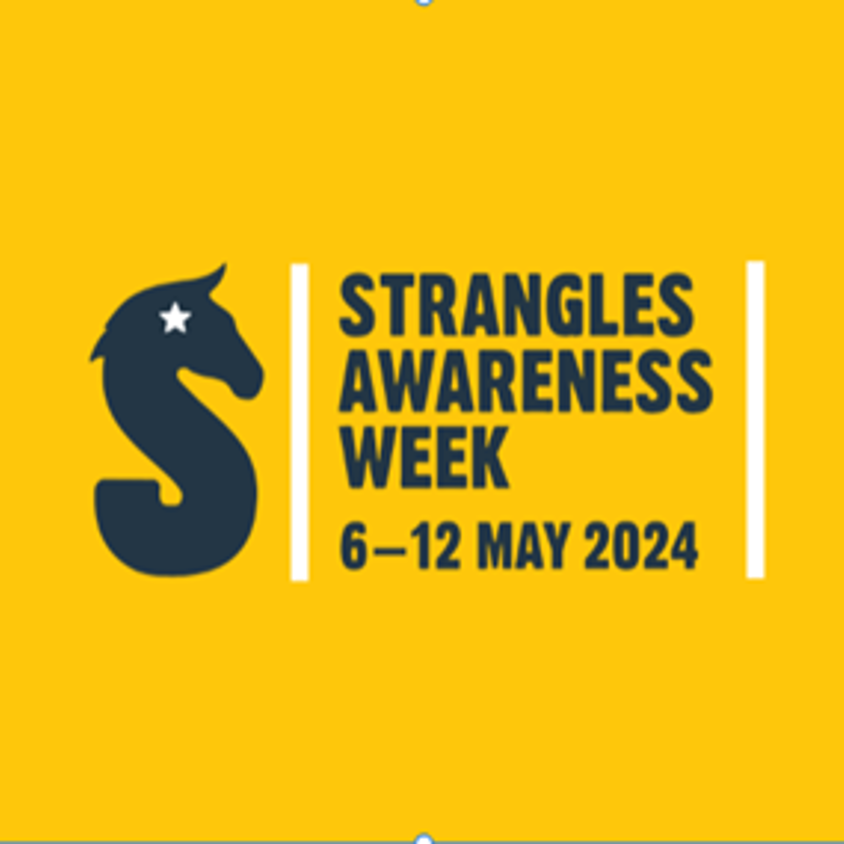 Strangles In Horses: Signs & Symptoms | The British Horse Society